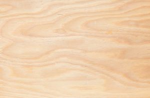 Can You Use RedGard Over Plywood? (Explained) - Build It Fine